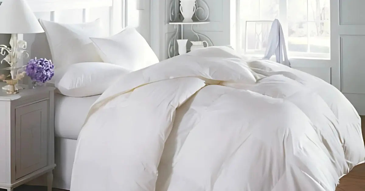 Comforter Guide 101: The Perfect Choice for Your Bed – Famyo